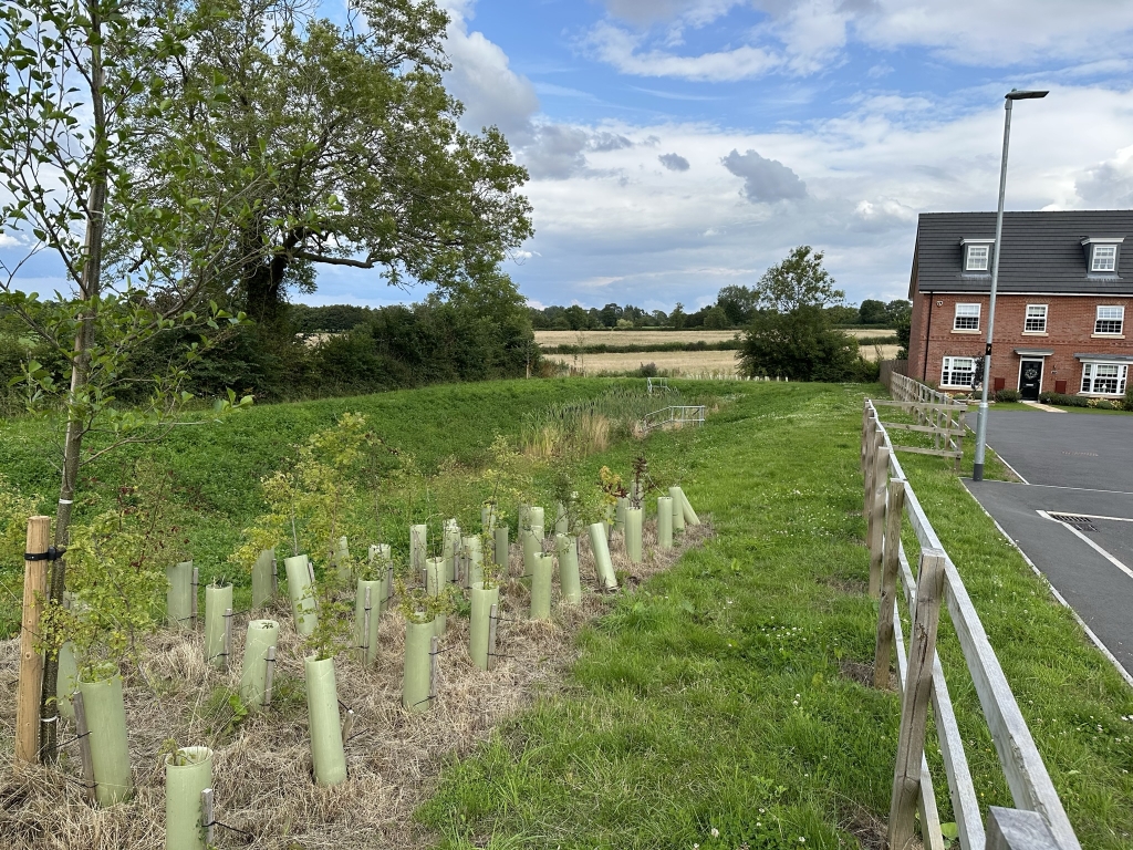Sustainable Drainage Schemes (SuDS) - TMS Consultancy